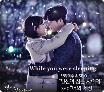While You Were Sleeping: Sinopsis, Actores, Resumen Y Más