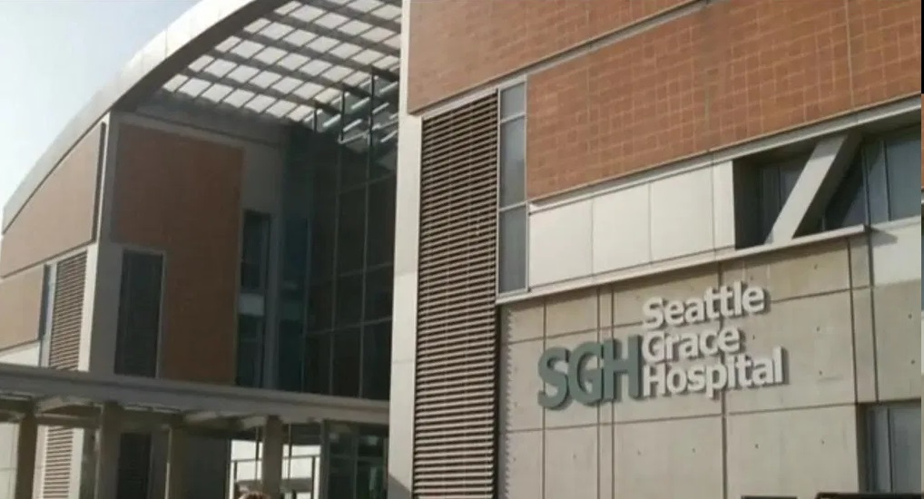 Grays Anatomy Hospital